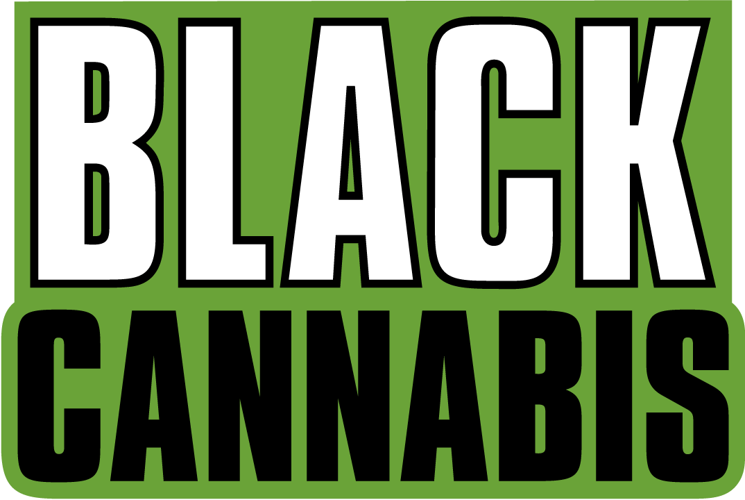 Cannabis Social Equity: Hochul's $150M Game-Changer for New York ...